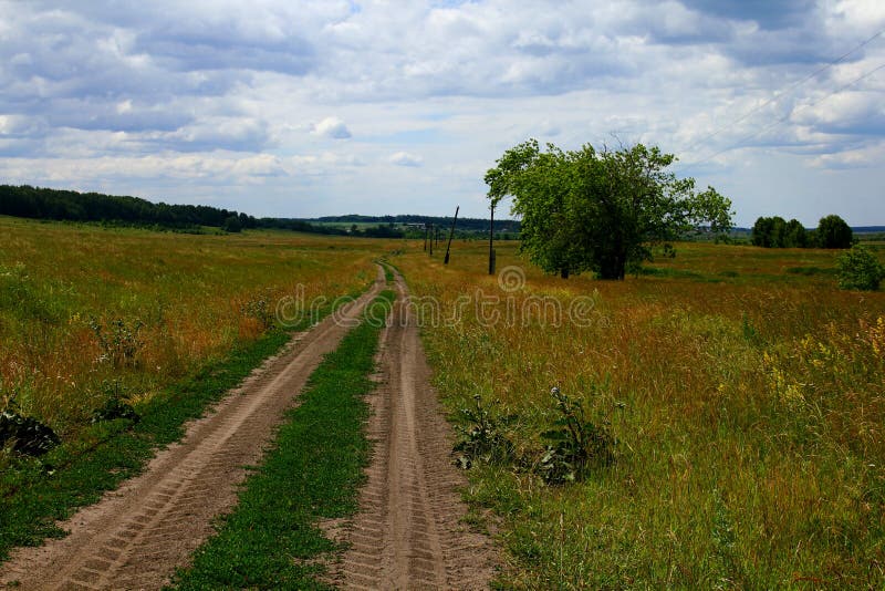 Country walk stock photo. Image of forest, desert, summer - 32007224