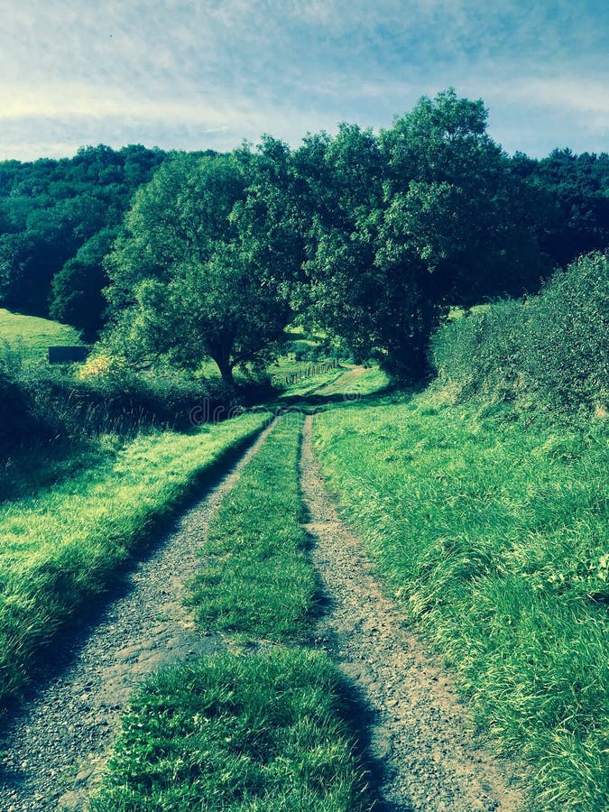 Country walk editorial image. Image of forest, plain - 78286340