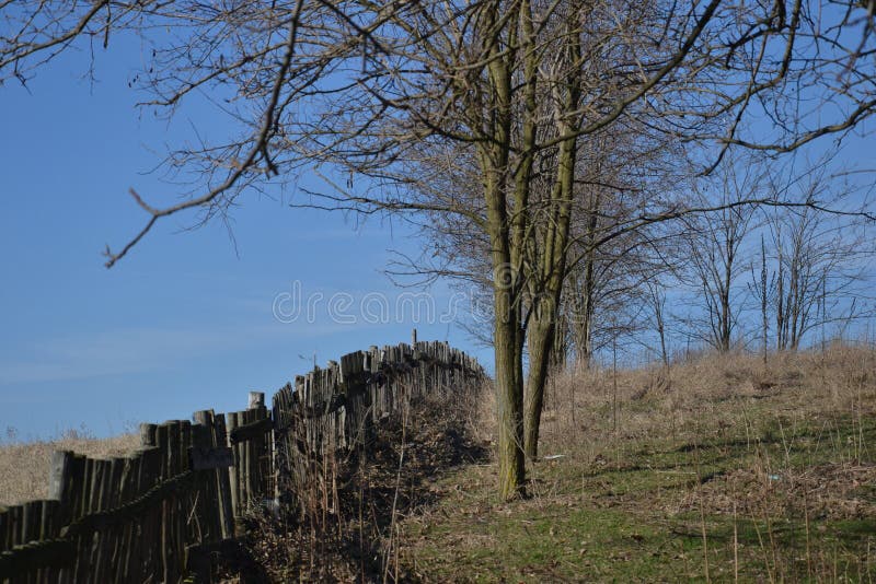 Country walls stock image. Image of country, walls, tree - 155521901