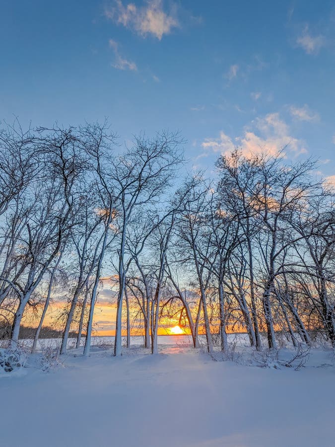 Country winter snow sunset stock photo. Image of season - 74037372