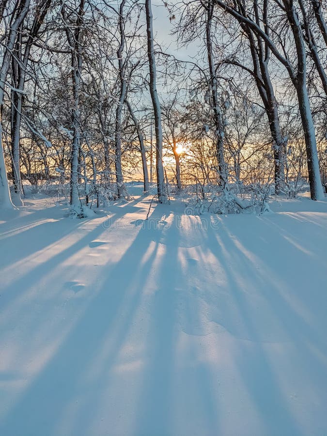 Country winter snow sunset stock photo. Image of season - 74037372