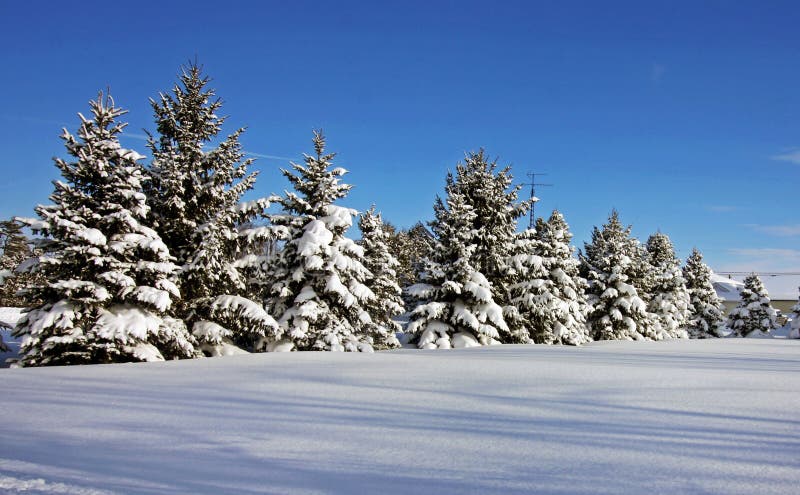 Country winter scene stock photo. Image of peaceful, december - 17842406
