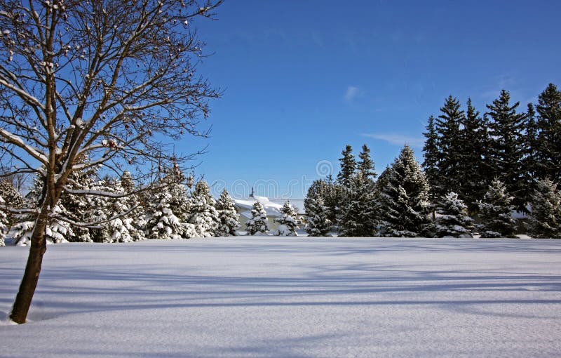 Country winter scene stock photo. Image of cold, morning - 17842444