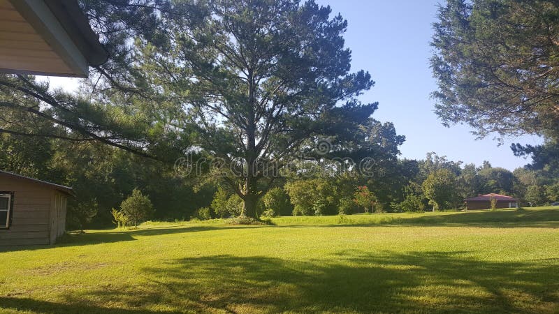 Country yard stock photo. Image of outside, trees, yard - 76957390