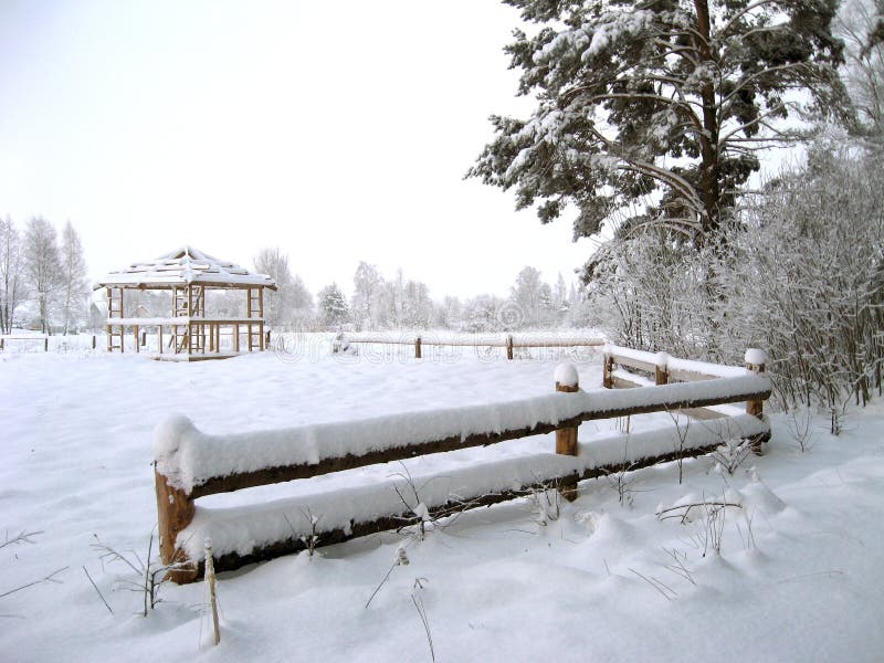 After snowfall 2 stock photo. Image of fall, storm, snowy - 168381680