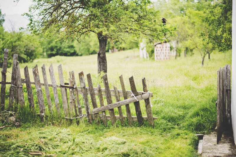 Country yard with trees, stock image. Image of country - 70250163