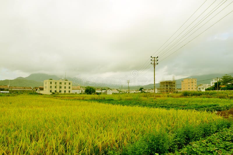 Countryside stock photo. Image of area, nature, peace - 26385542