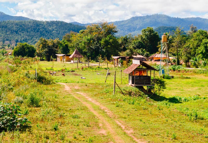 Countryside stock image. Image of grow, farmer, nature - 28374925