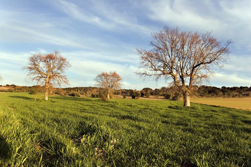 Countryside stock image. Image of nature, energy, landscape - 3551509