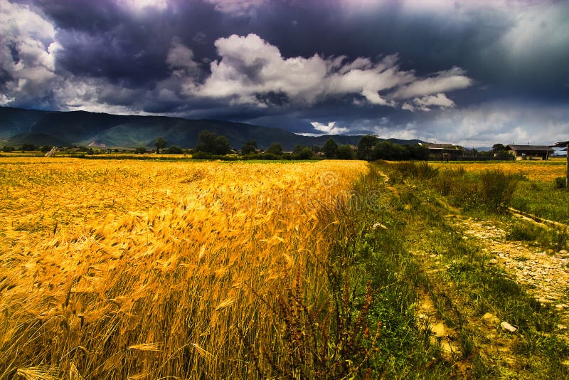 Countryside stock photo. Image of agriculture, scenery - 7358276