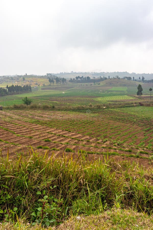 Countryside Agriculture Farming Fields with Bright Blue Sky at Morning ...