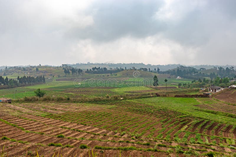 Countryside Agriculture Farming Fields with Bright Blue Sky at Morning ...