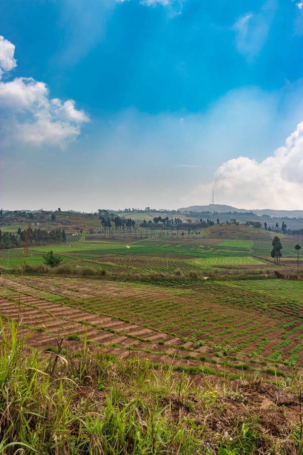 Countryside Agriculture Farming Fields with Bright Blue Sky at Morning ...