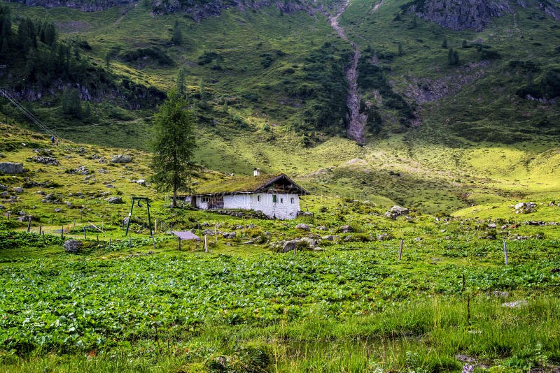 Countryside and Alps View from Mount Buffalo National Park Stock Image ...