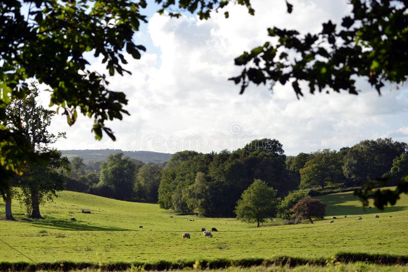 Countryside stock photo. Image of farmland, pasture, countryside - 78394324