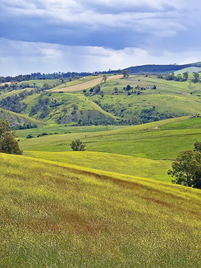 Australia countryside stock image. Image of field, sunny - 29891925