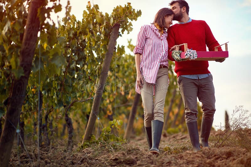 Countryside.couple Walking in between Rows of Vines Stock Photo - Image ...