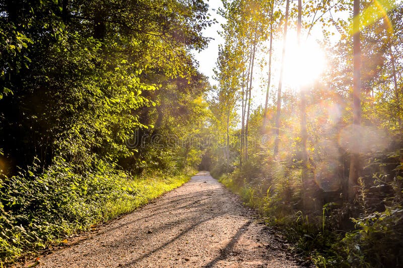 Countryside Desert Dirt Path Stock Photo - Image of perspective, land ...