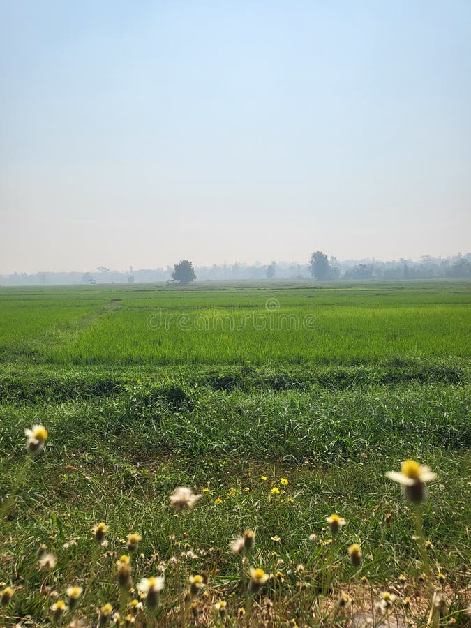 Countryside Farm with Vanilla Sky Peaceful Place Stock Photo - Image of ...