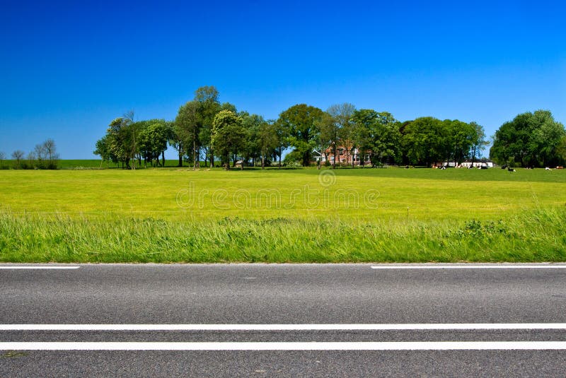 Countryside With Farmer And Cows Stock Image - Image of field ...