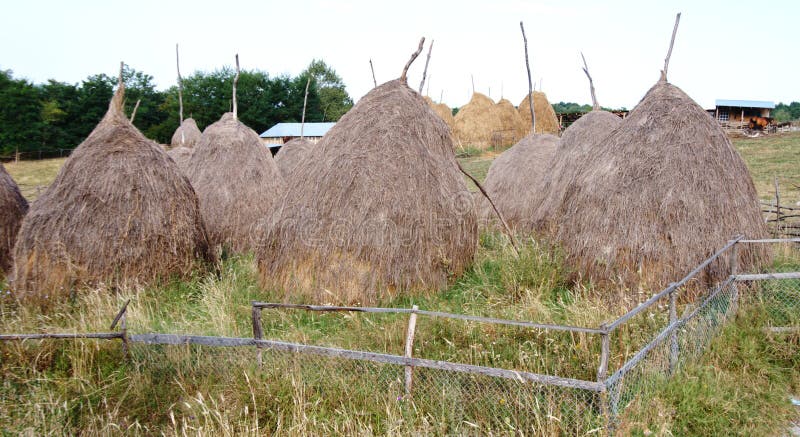 Haystack Big Bales Packaging In Plastic Stock Image - Image of storage ...
