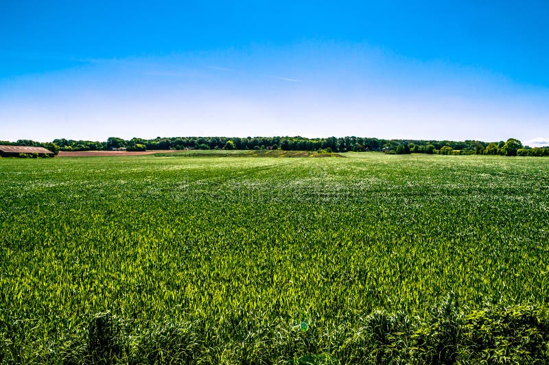 Countryside field stock photo. Image of countryside, field - 34467726