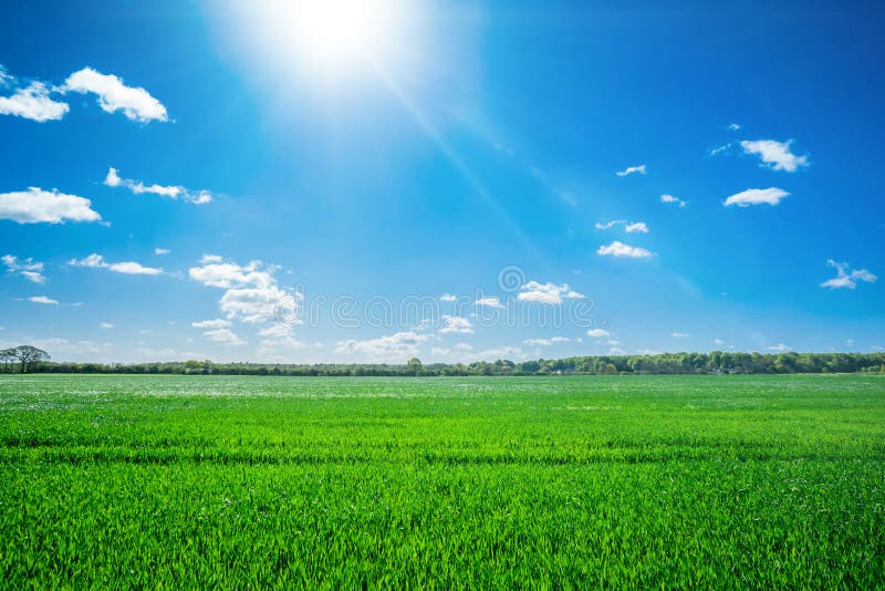 Countryside Field with Sunshine Stock Photo - Image of nature ...