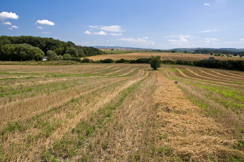 Countryside Fields Landscape Stock Photo - Image of scenery, outdoors ...