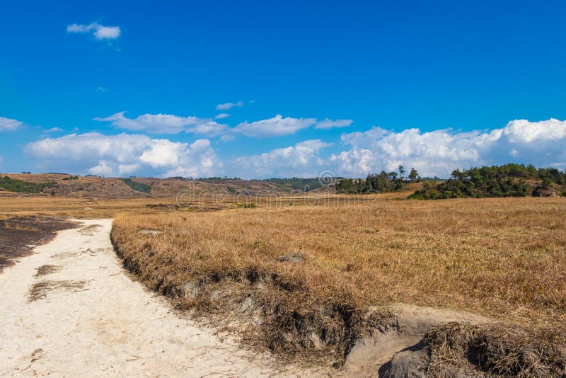 Countryside Fields with Leading Line of White Sand Bright and Blue Sky ...