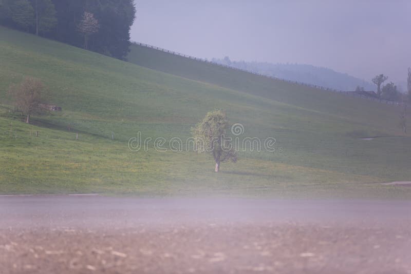 Countryside Fields and Trees on a Misty Morning in Spring Stock Photo ...