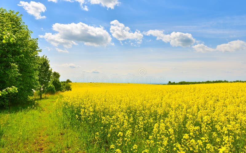 Countryside stock photo. Image of countryside, country - 55657072