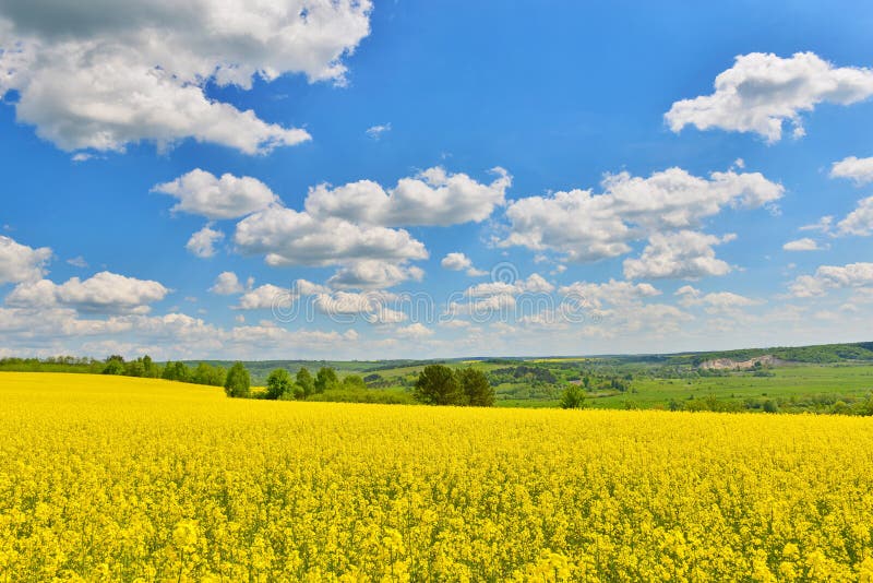 Countryside stock image. Image of field, spring, season - 55657109