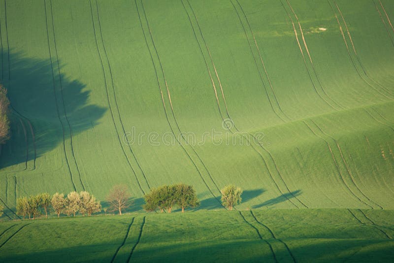 Countryside Green Farmland Landscape Stock Photo - Image of southern ...