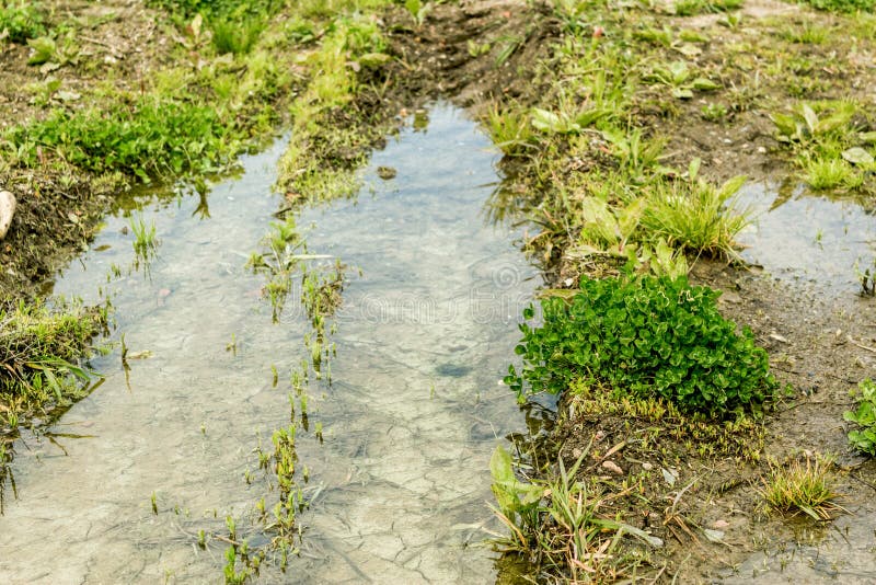 Countryside Ground and a Pond Stock Photo - Image of natural, soil ...