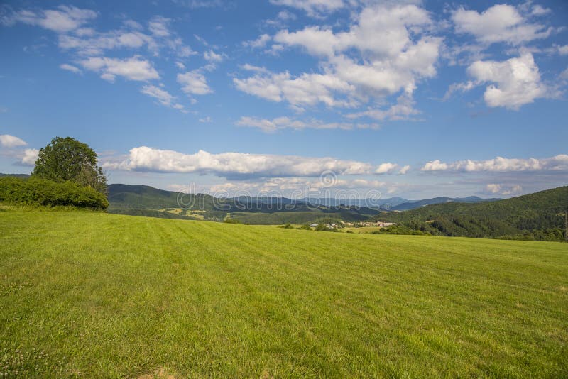 Countryside at High Noon. Rural Scenery with Trees and Fields on the ...