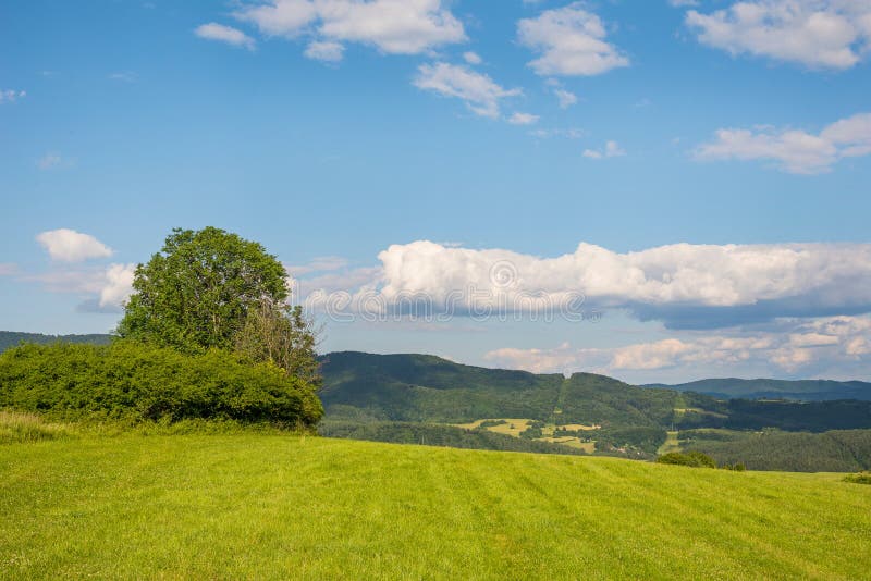 Countryside at High Noon. Rural Scenery with Trees and Fields on the ...