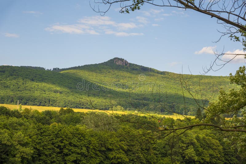 Countryside at High Noon. Rural Scenery with Trees and Fields on the ...