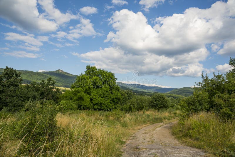 Countryside at High Noon. Rural Scenery with Trees and Fields on the ...