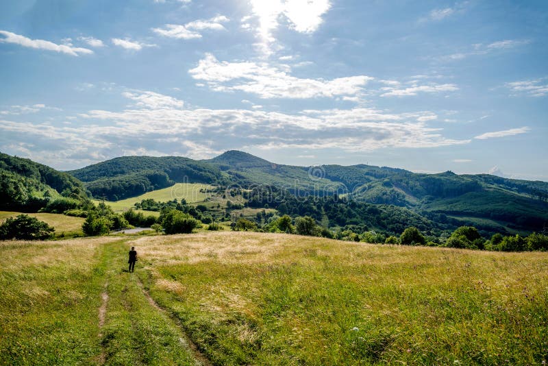 Countryside at High Noon. Rural Scenery with Trees and Fields on the ...