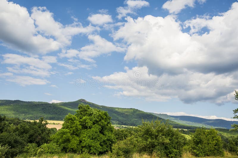 Countryside at High Noon. Rural Scenery with Trees and Fields on the ...