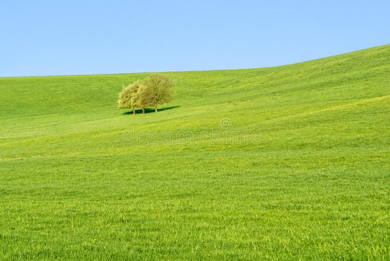 Countryside stock photo. Image of nature, field, country - 60796140