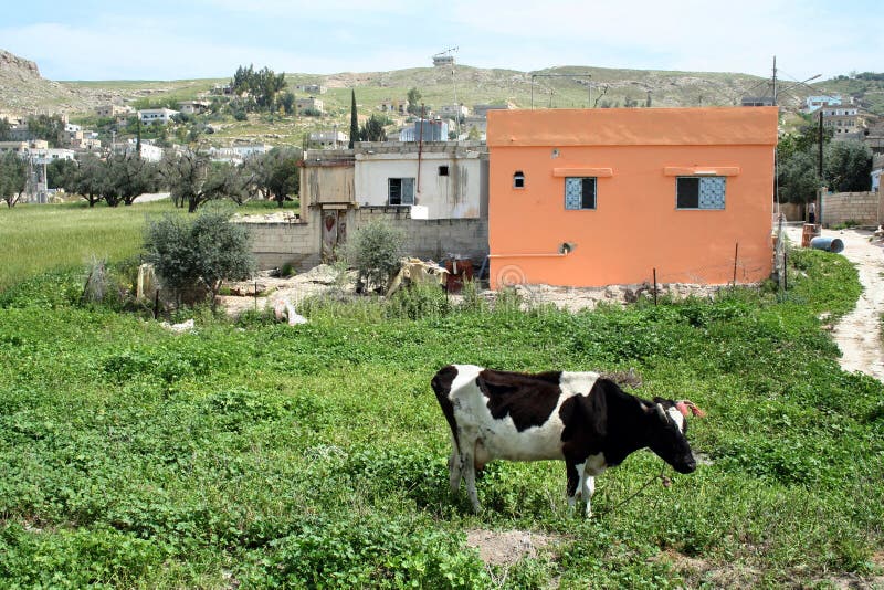 1,929 Jordan Countryside Stock Photos - Free & Royalty-Free Stock ...