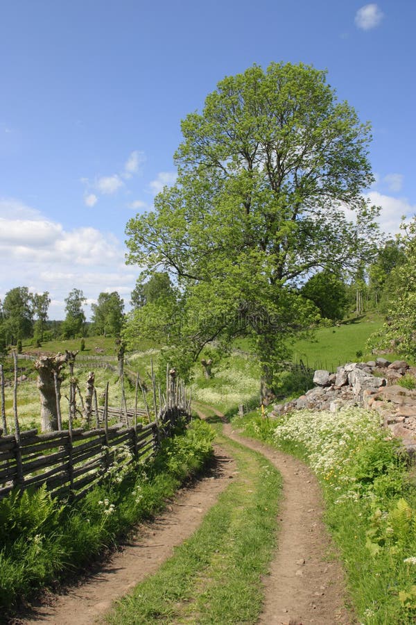 Countryside landscape stock image. Image of land, serene - 1214965