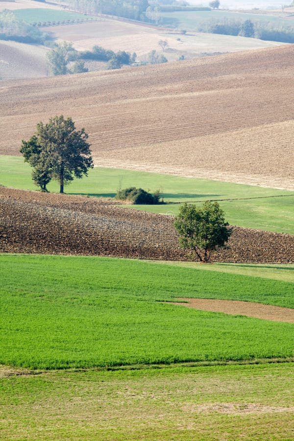 Countryside landscape stock image. Image of green, farmland - 6553505