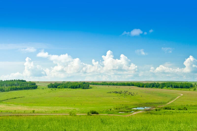 Countryside landscape stock photo. Image of clean, outdoor - 9785678