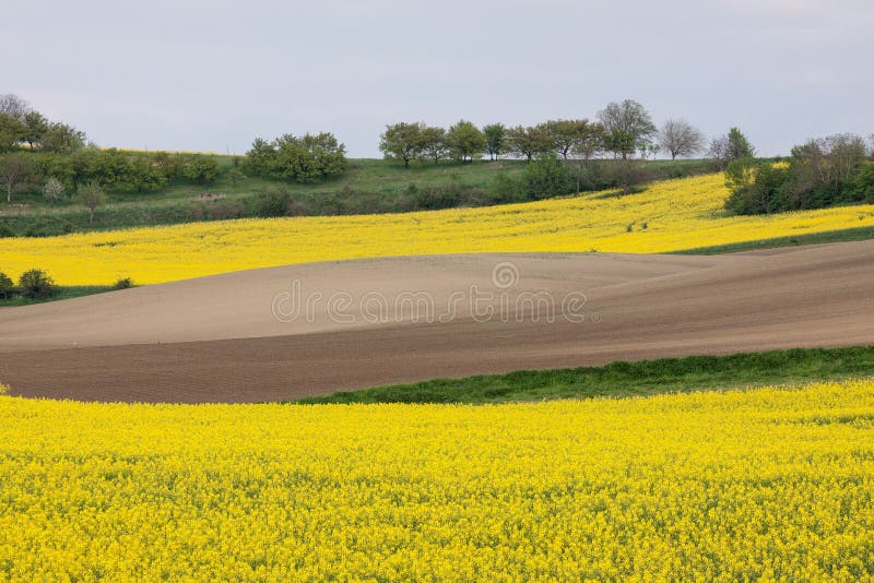 Countryside landscape stock image. Image of idyllic, southern - 57089979