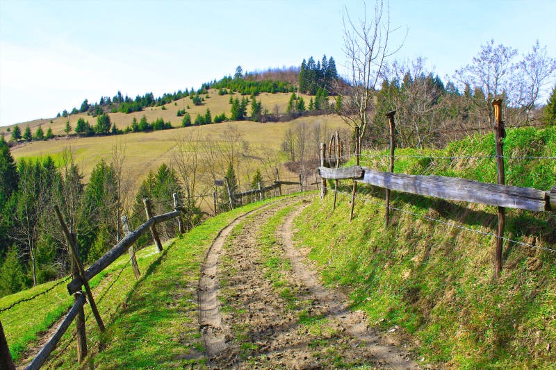 Countryside stock image. Image of alfalfa, hill, natural - 37412113