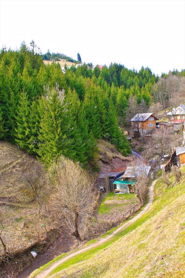 Countryside stock photo. Image of animal, blue, environment - 37412986