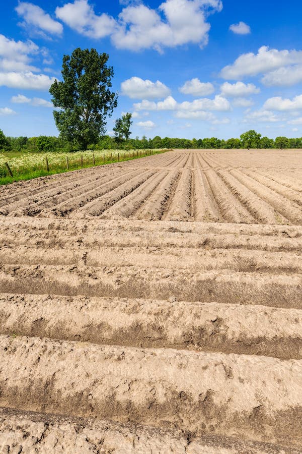 Countryside Landscape with Ditch and Cultivated Farm Field Stock Image ...