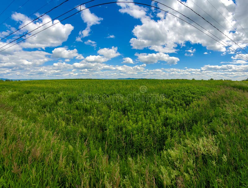 Countryside Landscape with Farm in Quebec, Canada Stock Image - Image ...
